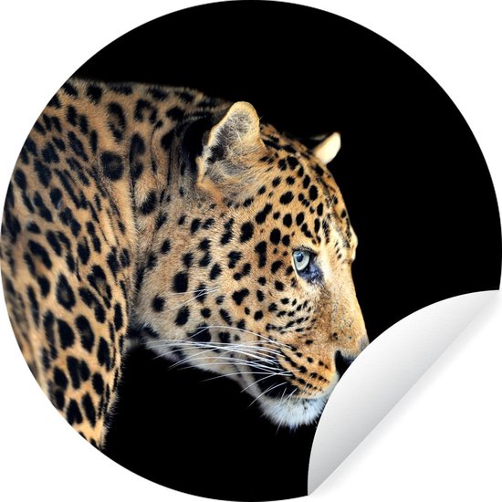 WallCircle - Muurstickers - Behangcirkel - Luipaard - Dieren - Zwart - 100x100 cm -... | bol