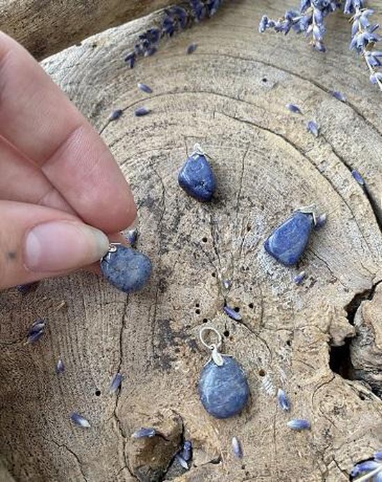 Ruben Robijn Dumortieriet edelsteen hanger | bol.com