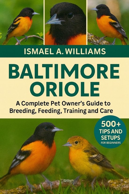 Baltimore Orioles, Ismael A Williams | 9798271313554 | Boeken | bol
