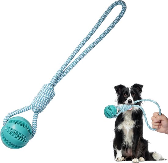 Speeltouw voor kleine en middelgrote honden - Interactief ...