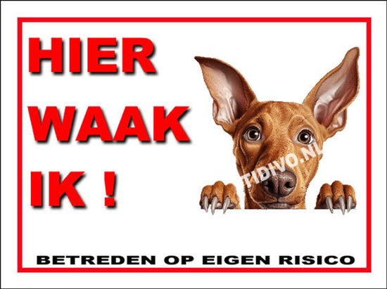 Pharaohond 3 - Met 4 Gaatjes + 4 Pluggen + 4 RVS Schroeven | bol