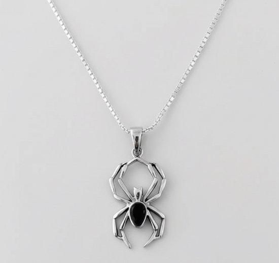 Zilverkleurige ketting met spin voor heren en dames hanger en zwarte ...