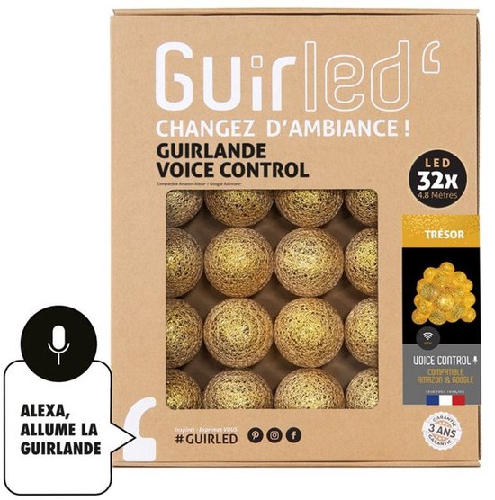 Trésor (Goud) Control Google en Alexa katoenen bal lichtslinger ...