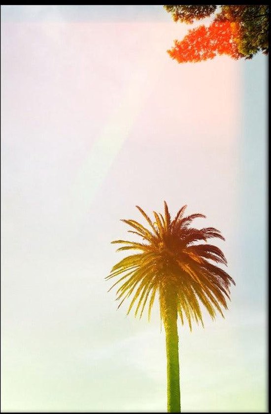 Walljar - Analoog Film Palmbomen II - Muurdecoratie - Poster | bol.com