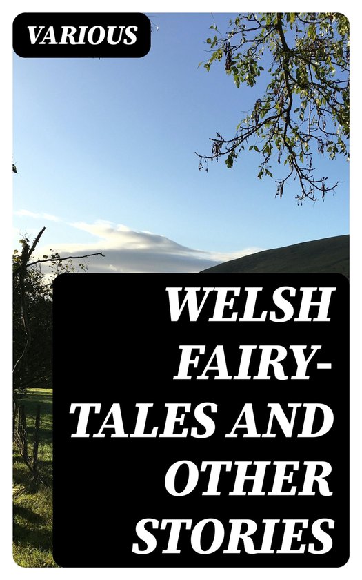 Welsh Fairy-Tales and Other Stories (ebook), Various | 8596547178125 ...