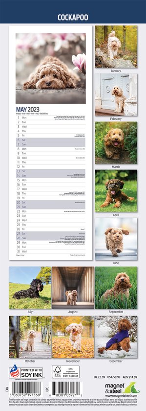 Cockapoo Kalender 2023 Slimline | bol.com