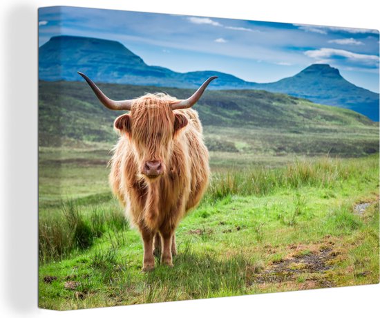 Schotse hooglander canvas - Natuur - Berg - Dier - Koe - Schilderijen ...