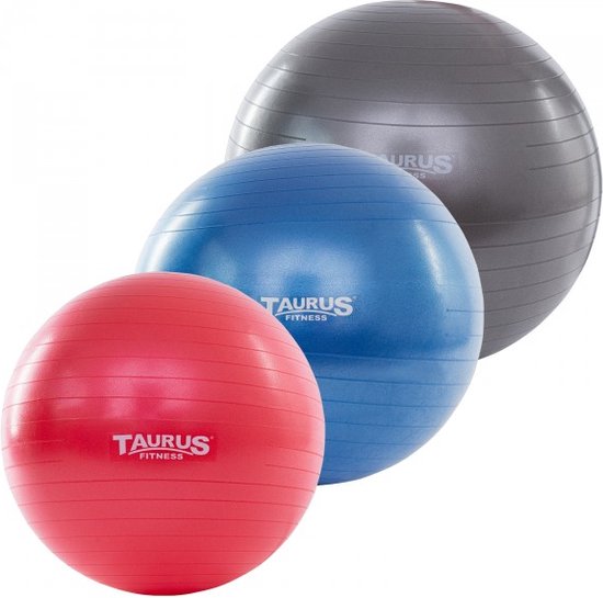 Taurus Gym Bal – 75cm – Grijs - Yoga bal – zitbal – workout bal – Anti ...