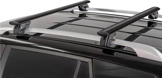 Dakdragers Dacia Sandero Stepway SUV vanaf 2009 | bol.com