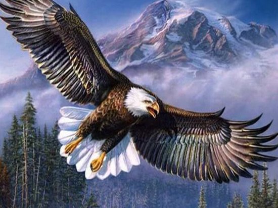 Diamond Painting - Zee Arend - 50x70 cm - Vierkante Steentjes - Full ...