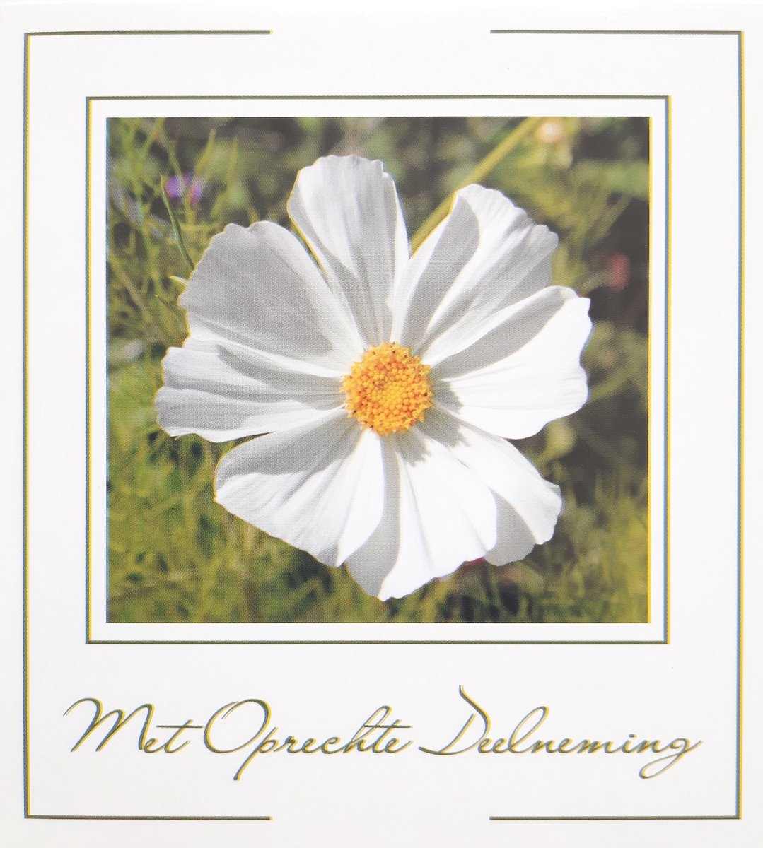 Condoleance Kaarten - 20 Wenskaarten - Met oprechte Deelneming ...