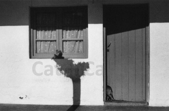 Marrie Bot - Siesta, Spain - Vintage dubbele kaarten - Zwart-wit - Set ...