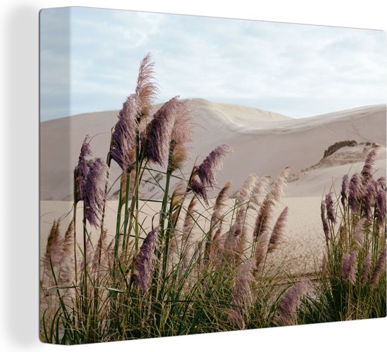 Canvas Schilderij Pampasgras - Zand - Planten - Duin - 120x90 cm - Wanddecoratie | bol