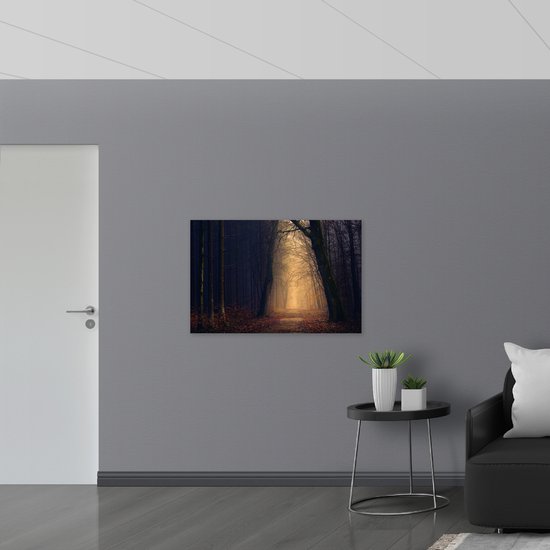 WallClassics - Hout - Mysterieus licht in Duister Bos - 105x70 cm - 12 ...