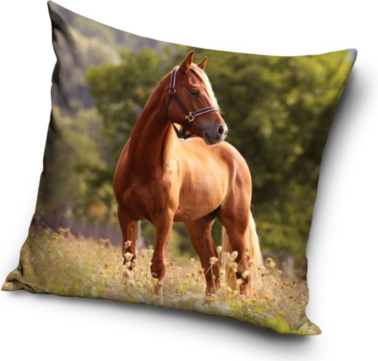 KD® - Bruine Paard Sierkussens - Kussen - 40 x 40 inclusief vulling ...