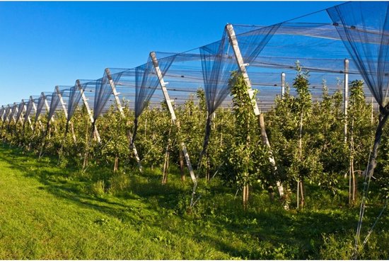 Vogelnet 5x5 meter - extra sterk - maaswijdte 19mm - groen - tuinnet ...