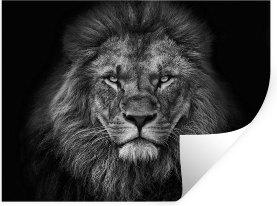 Muurstickers - Sticker Folie - Leeuw - Dieren - Zwart - Wit - 40x30 cm - Plakfolie -... | bol