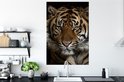 Muurstickers - Sticker Folie - Tijger - Wilde dieren - Portret - 80x120 cm - Plakfolie... | bol