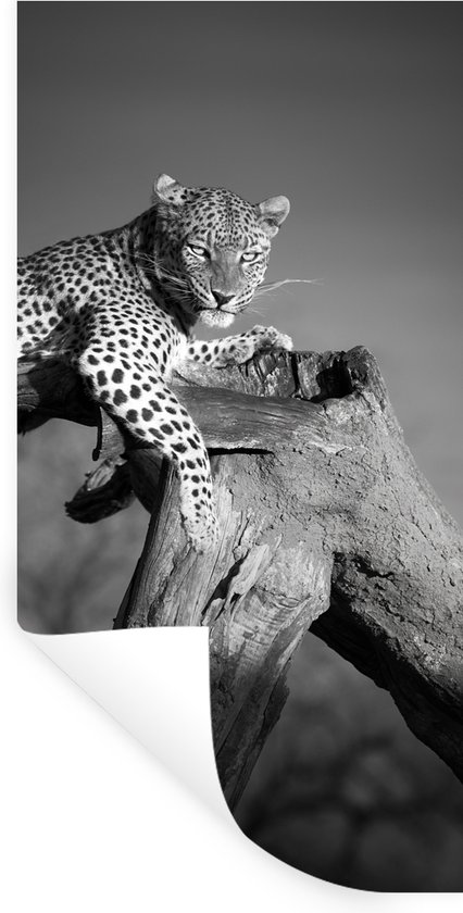 Muurstickers - Sticker Folie - Panter - Boom - Dieren - Zwart - Wit - 60x120 cm -... | bol