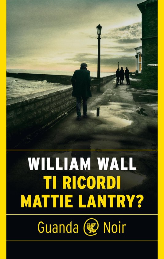 Ti ricordi Mattie Lantry? (ebook), William Wall | 9788823534698 ...