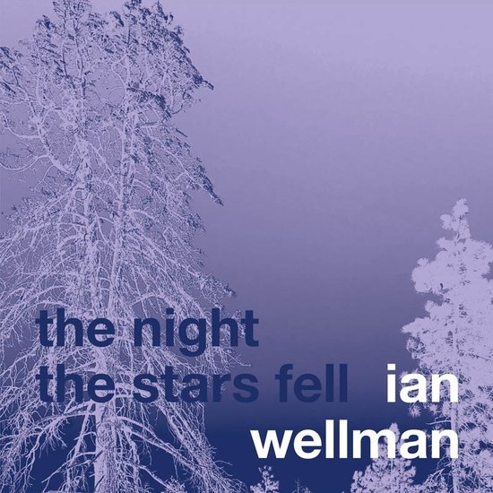Ian Wellman - The Night The Stars Fell (CD), Ian Wellman | Muziek | bol