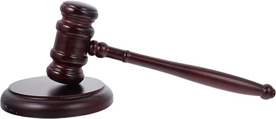 Rechter Hamer Met Blok ‎25 x 9 x 4 cm | bol