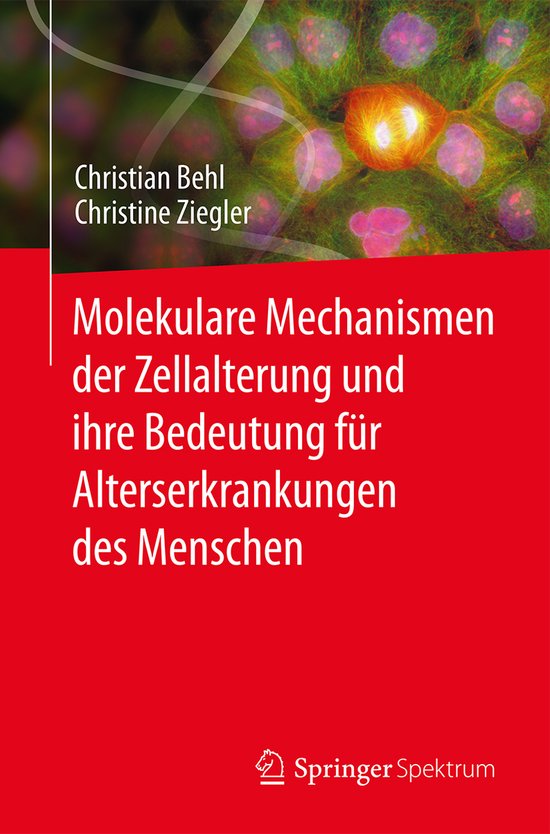 Molekulare Mechanismen der Zellalterung und ihre Bedeutung fuer ...