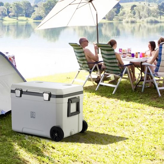 Brisby Koelbox - Frigobox - 45L - 3 Dagen Isolatie - 4 Dikke Koelelementen -... | bol