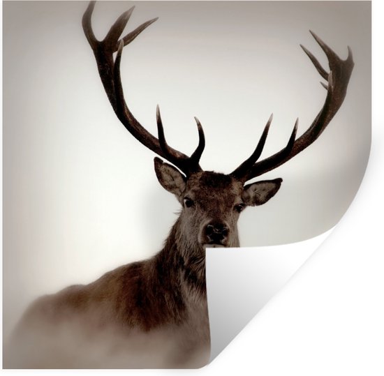 Muurstickers - Sticker Folie - Portret - Hert - Gewei - 30x30 cm ...