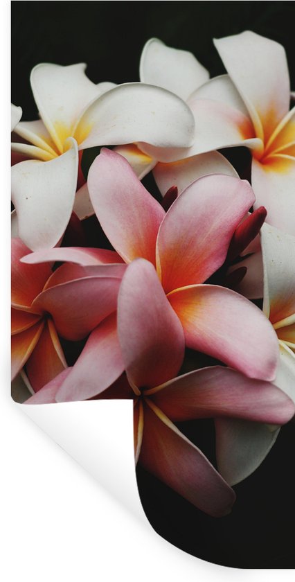 Muurstickers - Sticker Folie - Bloemen - Roze - Zwart - Flora - Botanisch - 40x80 cm -... | bol