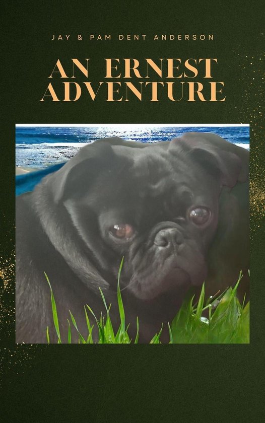 An Ernest Adventure (ebook), Jay & Pam Dent Anderson | 9798224626014 ...