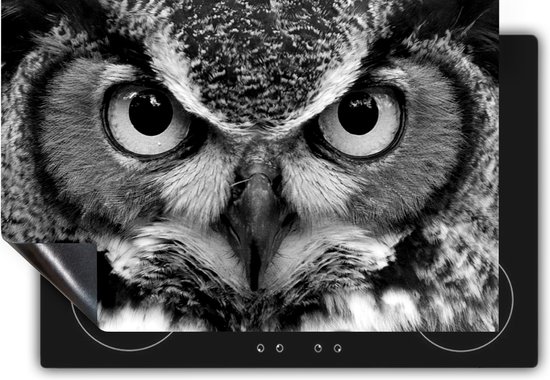 Chefcare Inductie Beschermer Uil Kop met Gouden Ogen - Zwart Wit - 70x50 cm -... | bol