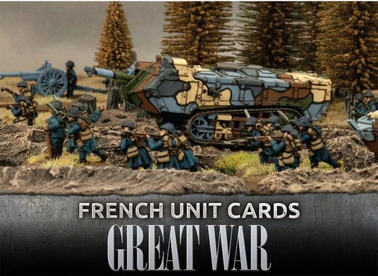 French Unit Cards | bol