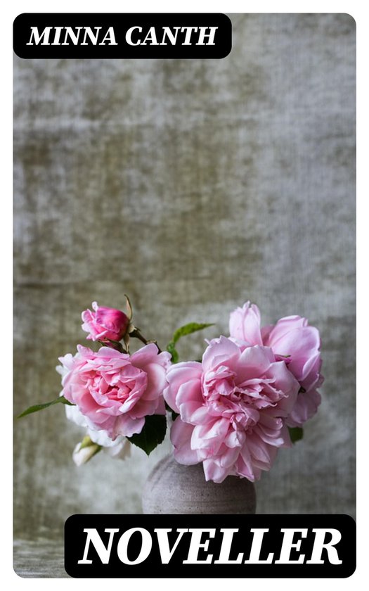 Noveller (ebook), Minna Canth | 8596547470496 | Boeken | bol