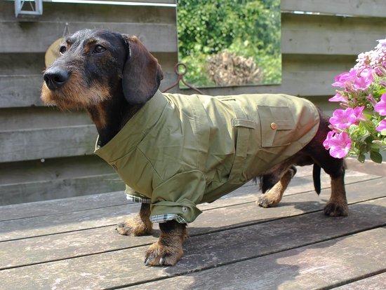 TECKEL JAS | TRENCHCOAT GROEN | bol