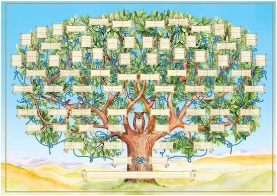 Stamboom kaart - 6 generatie familie boom poster - DIY canvas ...