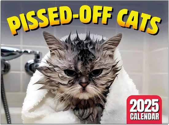 Allecto Plus - Kalender 2025 voor kattenliefhebbers met boze katten en ...