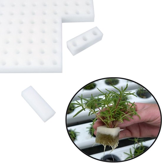 Hydroponic Sponges 200 Pieces - Seedling Garden Accessories - 25 x 25 x ...