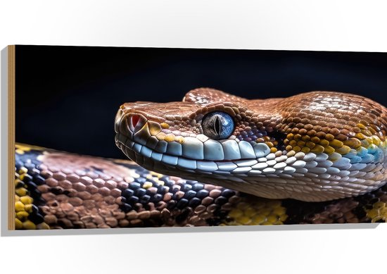 Hout - Python - Dier - Slang - Kleuren - 100x50 cm - 9 mm dik - Foto op ...