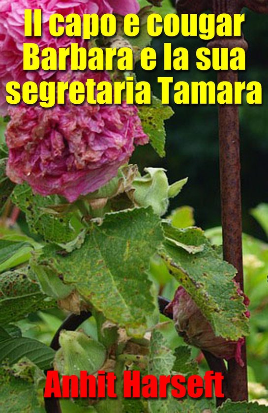 Il capo e cougar Barbara e la sua segretaria Tamara (ebook), Anhit ...