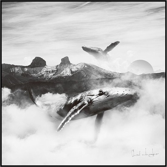 Canvas 80 x 2,5 x 80 cm Walvis | bol