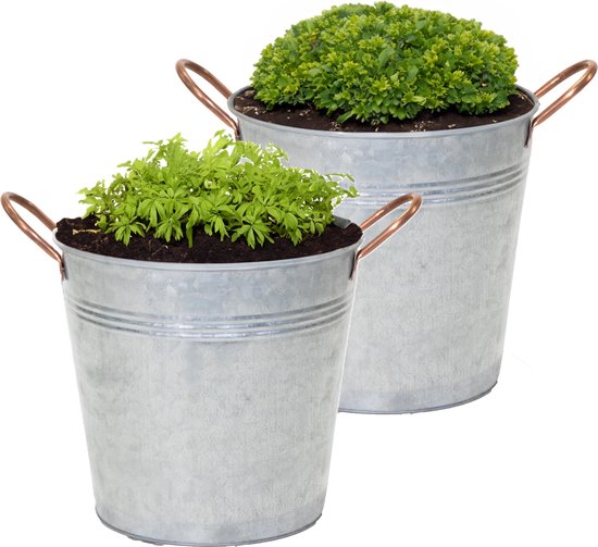 Mega Collections Emmer/plantenpot/bloempot Jean - 2x - zink - zilver - D25 X H21 cm | bol