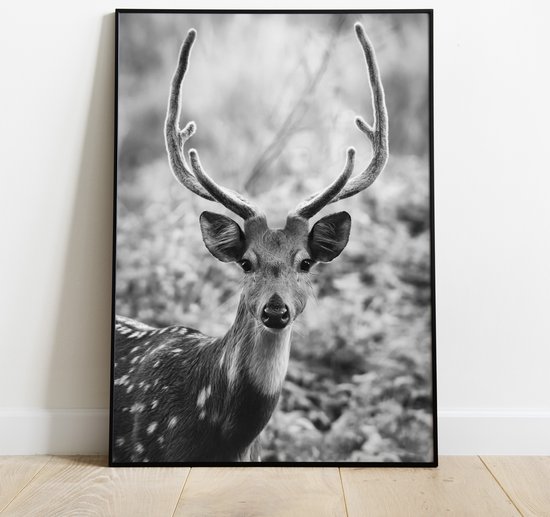 Poster Hert zwart-wit - Natuur poster - 50x70 cm - exclusief lijst ...