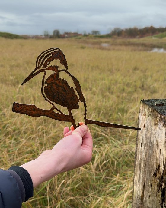 Metalbird - Ijsvogel- Cortenstaal - Cortenstaal vogel - metaal vogel ...
