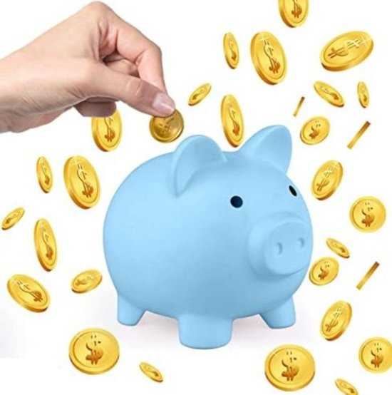 Spaarpot Groot - Grote Spaarpot - Grote Spaarpot Voor Volwassenen | bol