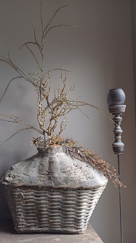 Corokia tak, kunst | bol