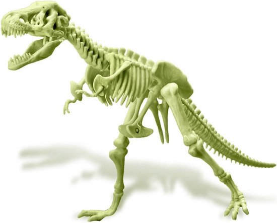 4M T-Rex Skelet Glow In The Dark | bol