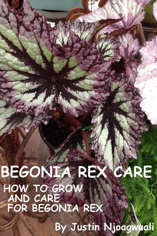 Begonia Rex Care (ebook), Justin Njoagwuali | 1230007770012 | Boeken | bol