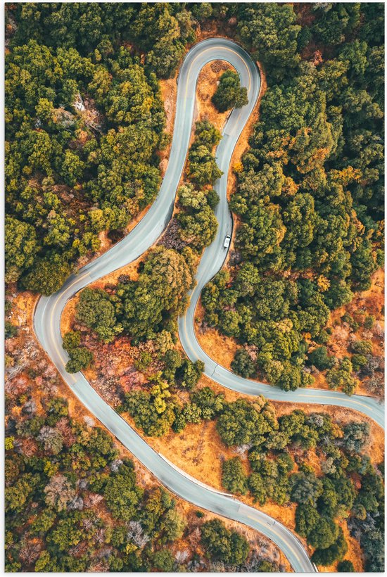 WallClassics - Poster (Mat) - Kronkelweg door Bossen - 40x60 cm Foto op ... WallClassics - Poster (Mat) - Kronkelweg door Bossen - 40x60 cm Foto op ...