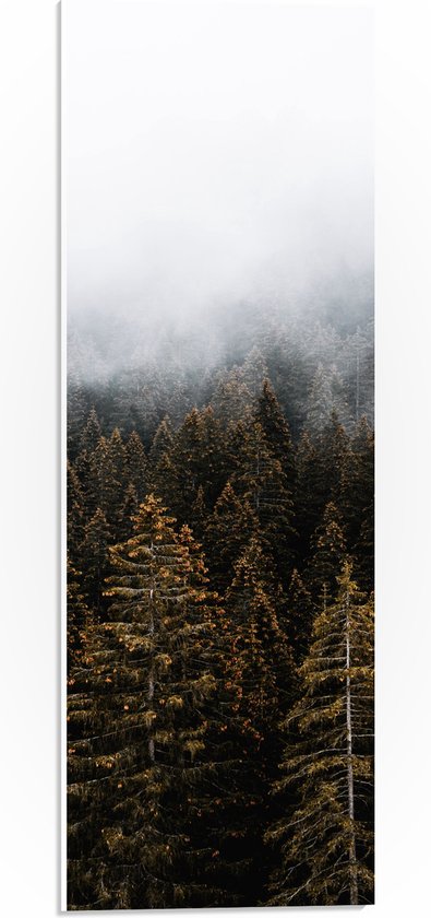 WallClassics - PVC Schuimplaat - Mist boven Boomtoppen - 20x60 cm Foto ...